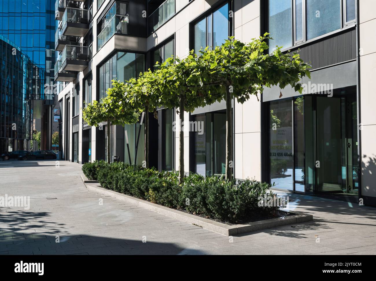 The lawn with bushes and trees in front of a residential building Stock ...