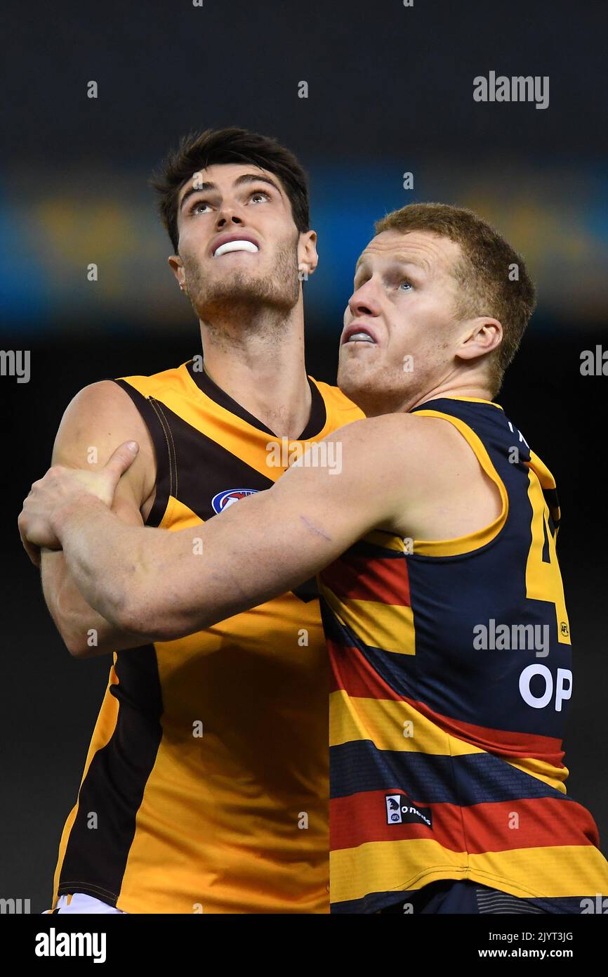 Ned Reeves of Hawthorn (left) and Reilly O'Brien of the Adelaide Crows ...