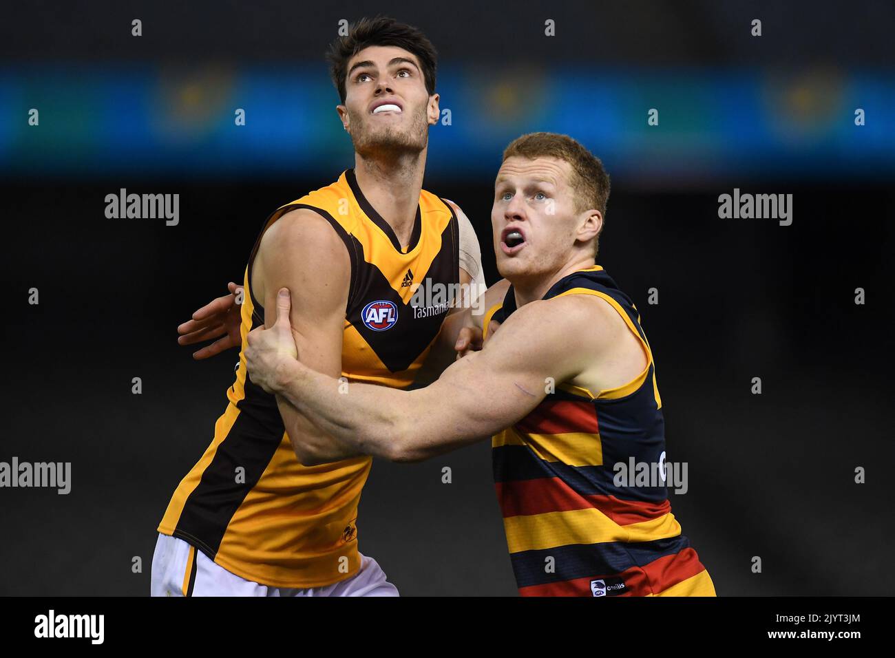 Ned Reeves of Hawthorn (left) and Reilly O'Brien of the Adelaide Crows ...