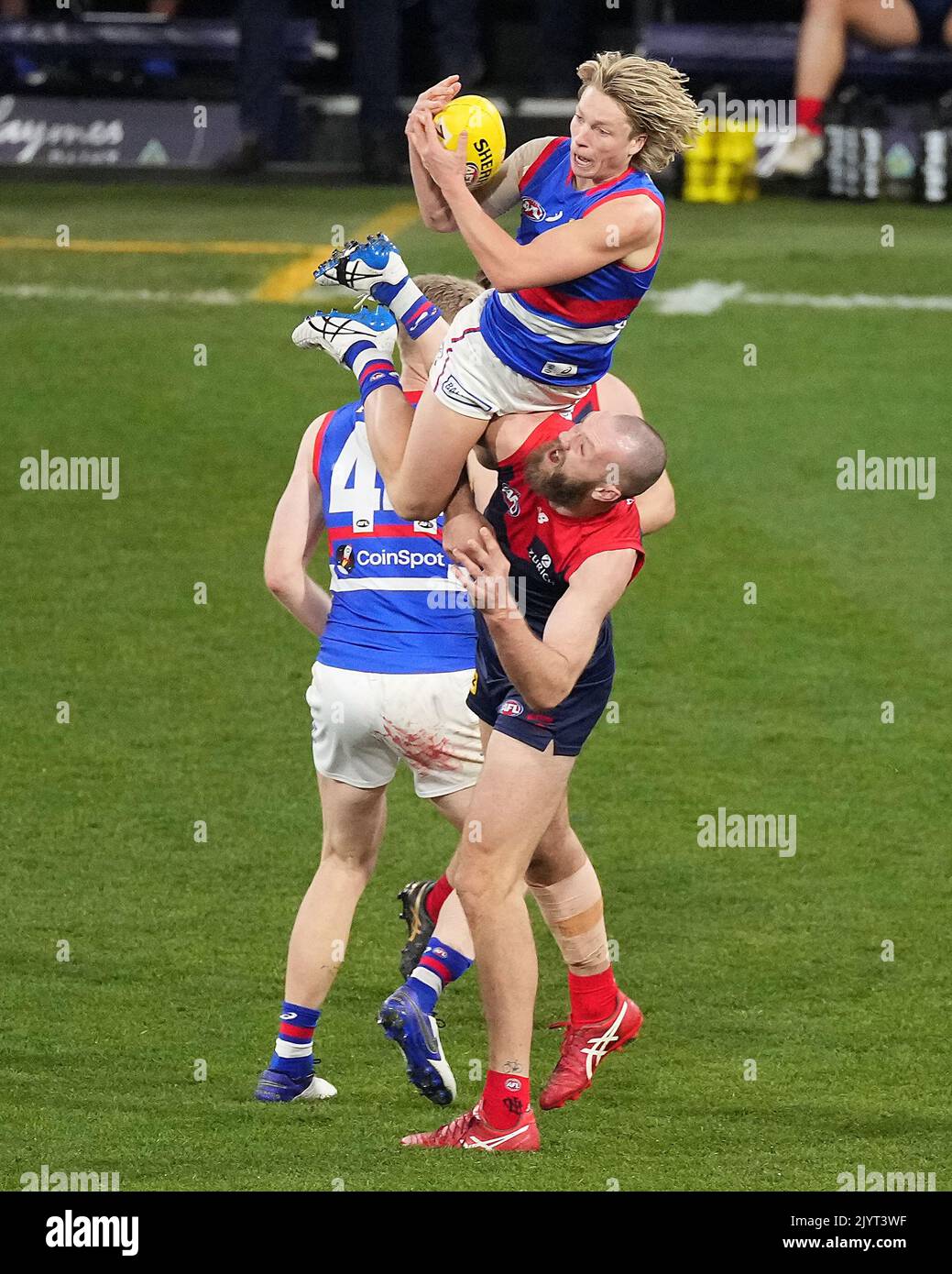 Cody Weightman of the Bulldogs takes a spectacular mark on Max Gawn of ...