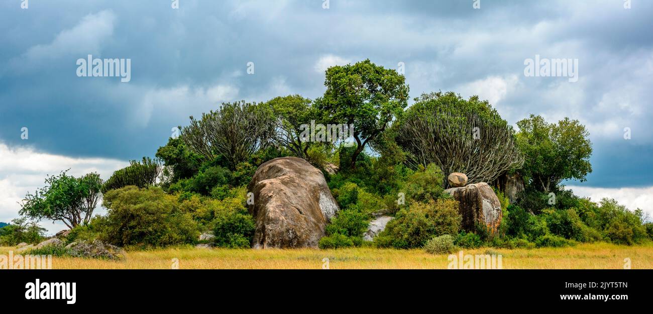 Rock outcrop near Ngong Rocks (rock). Central Serengeti National Park ...