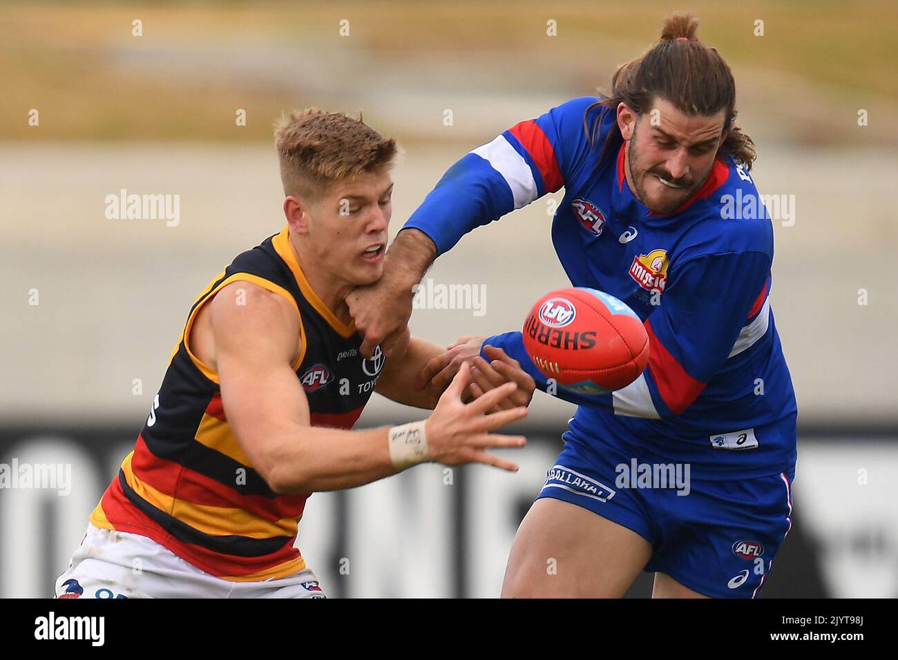 Nick Murray of the Adelaide Crows (left) and Josh Bruce of Western ...
