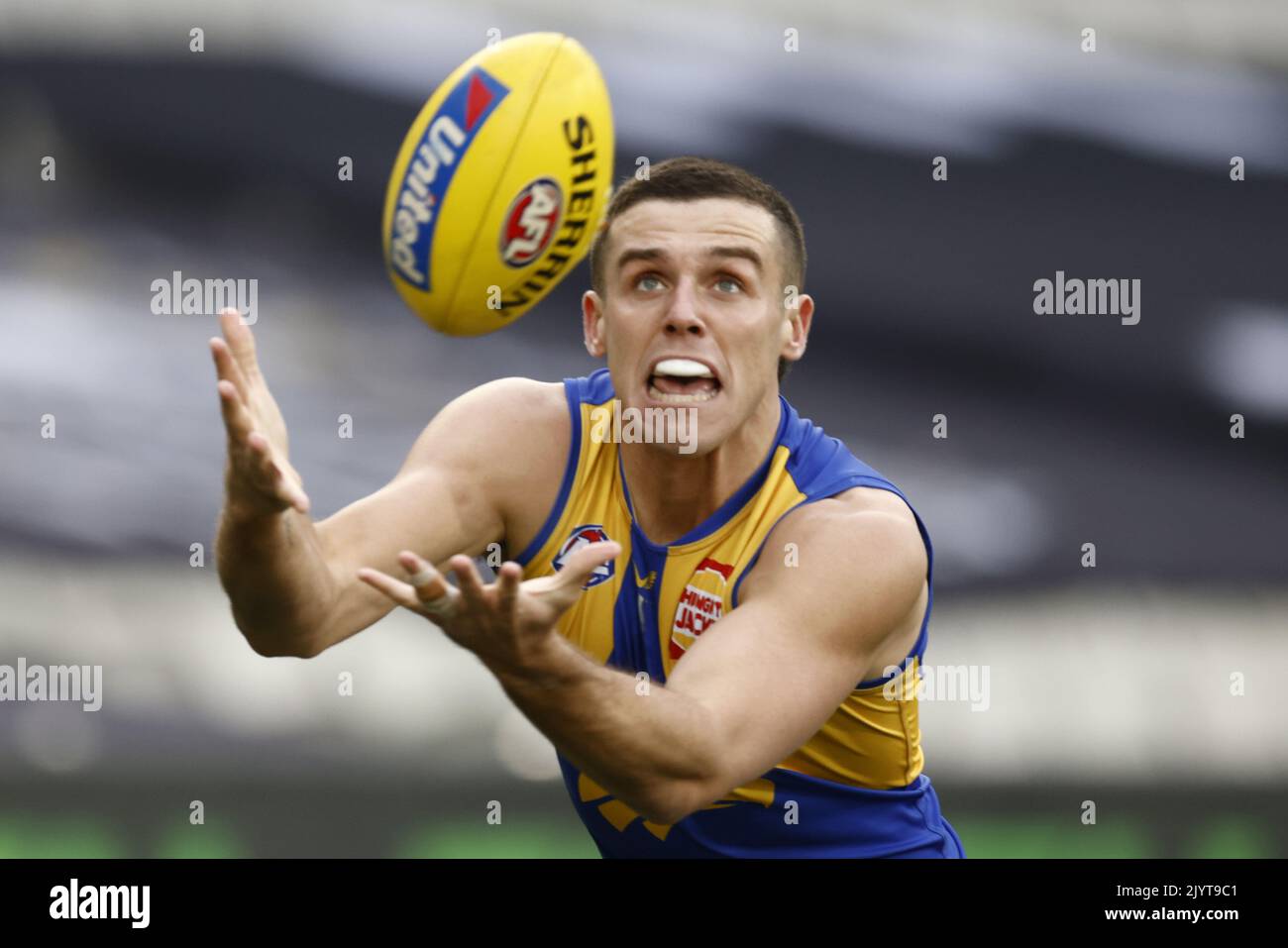 Jake Waterman of the Eagles marks the ball during the AFL Round 20 ...
