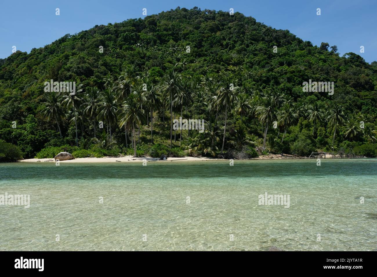 Indonesia Anambas Islands - Beach scenery with palm trees Stock Photo ...