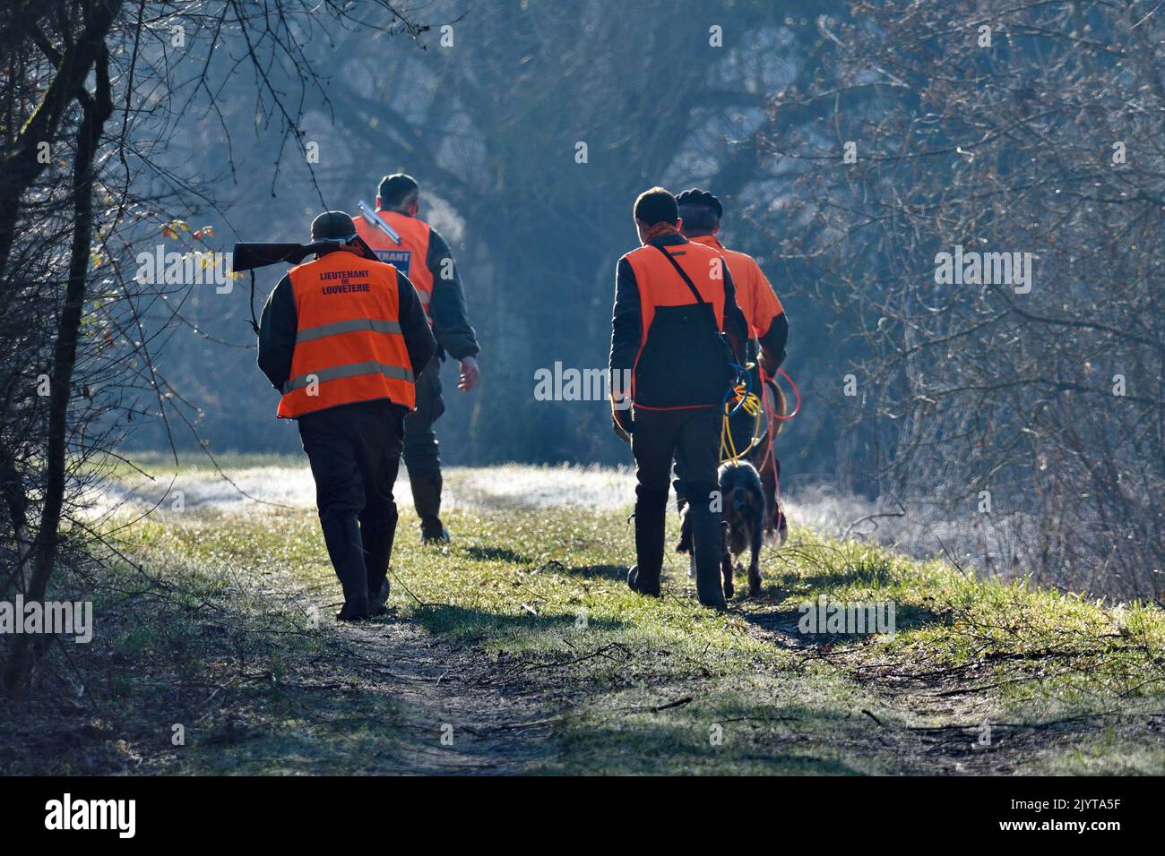 Hunters with dogs and guns during a wild boar hunt, France Stock Photo ...