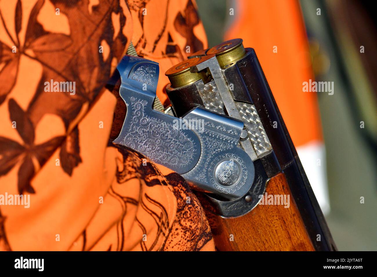 Hunter with gun during a wild boar hunt, France Stock Photo - Alamy