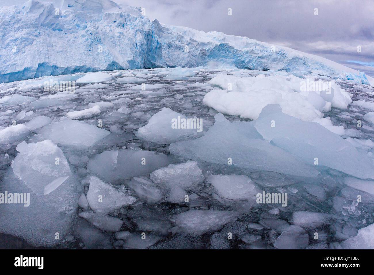 Pieces of ice and small floating icebergs, Antarctic Peninsula ...