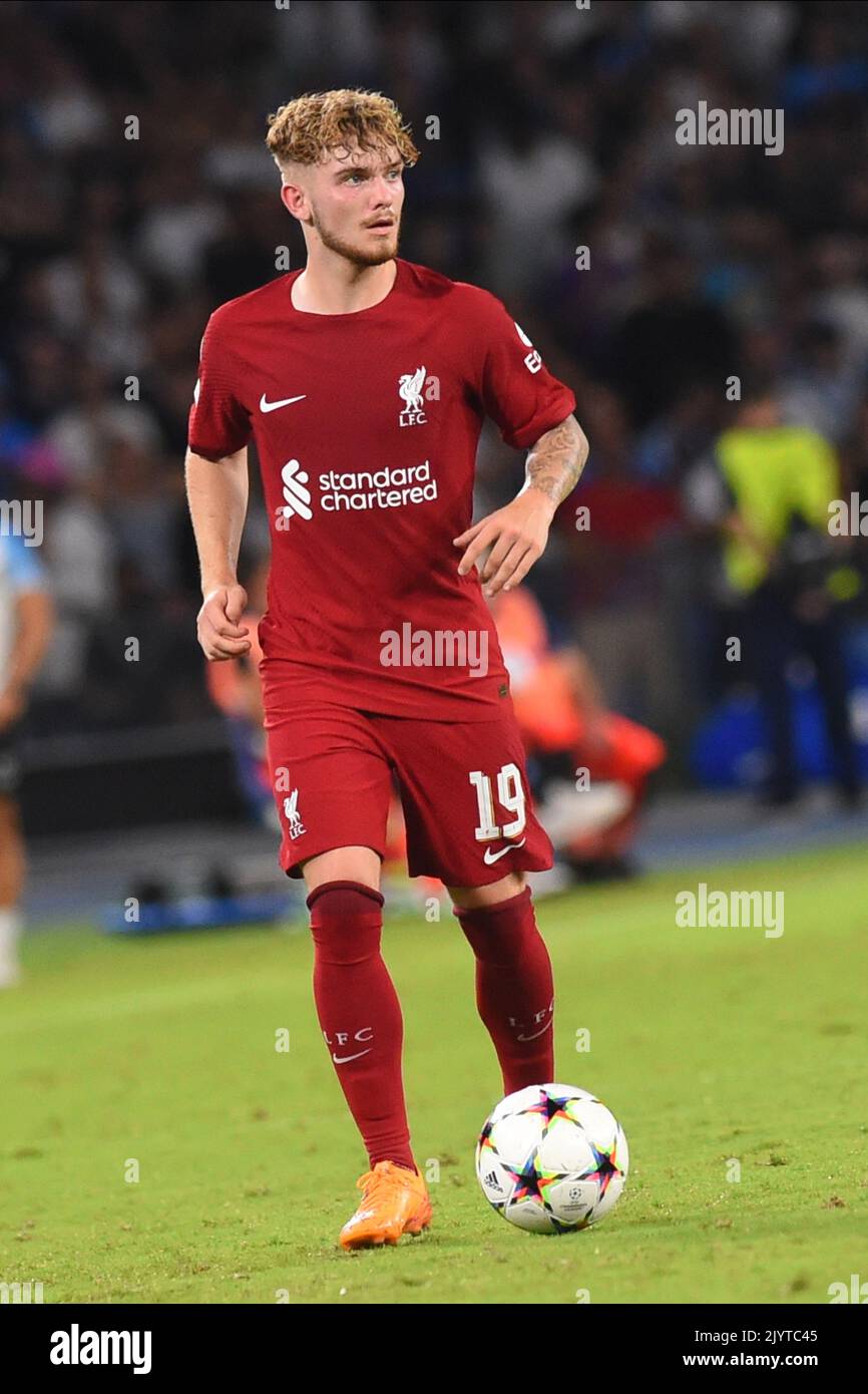 Napoli, Italy. 7th Sep, 2022. Harvey Elliott of Liverpool FC in action ...