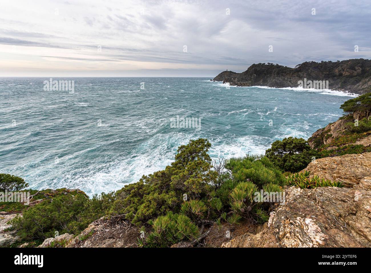 South coast of Porquerolles Island, Var, Port Cros National Park ...