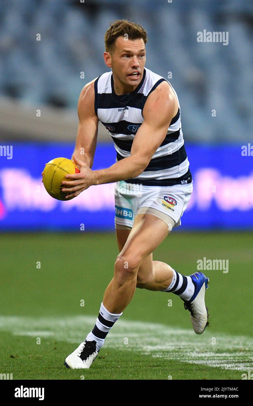 Shaun Higgins of Geelong in action during the AFL Round 22 match ...