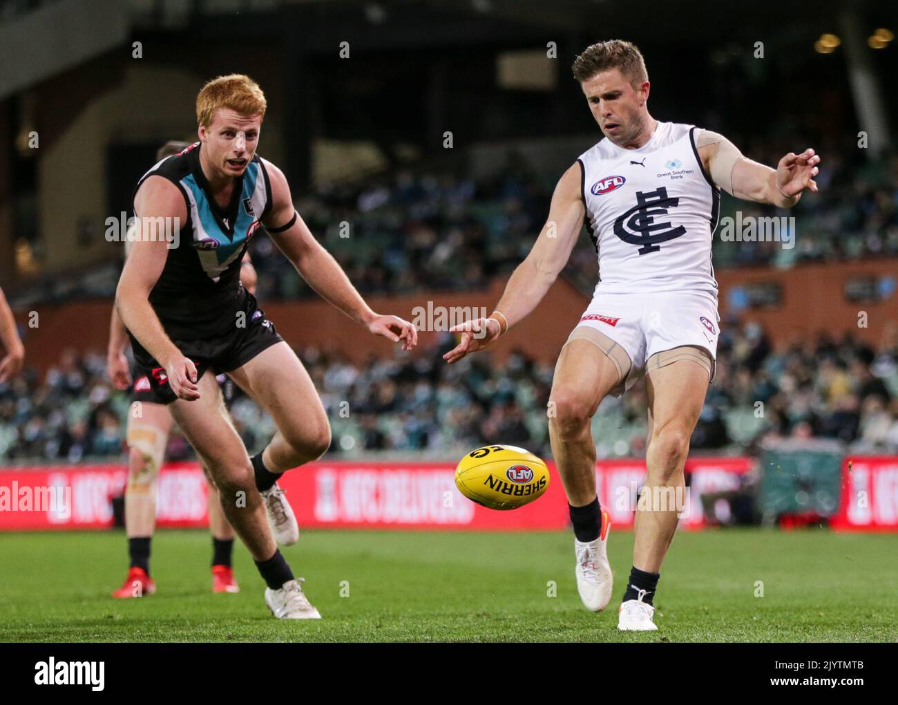 Marc Murphy of the Blues during the AFL Round 22 match between Carlton ...