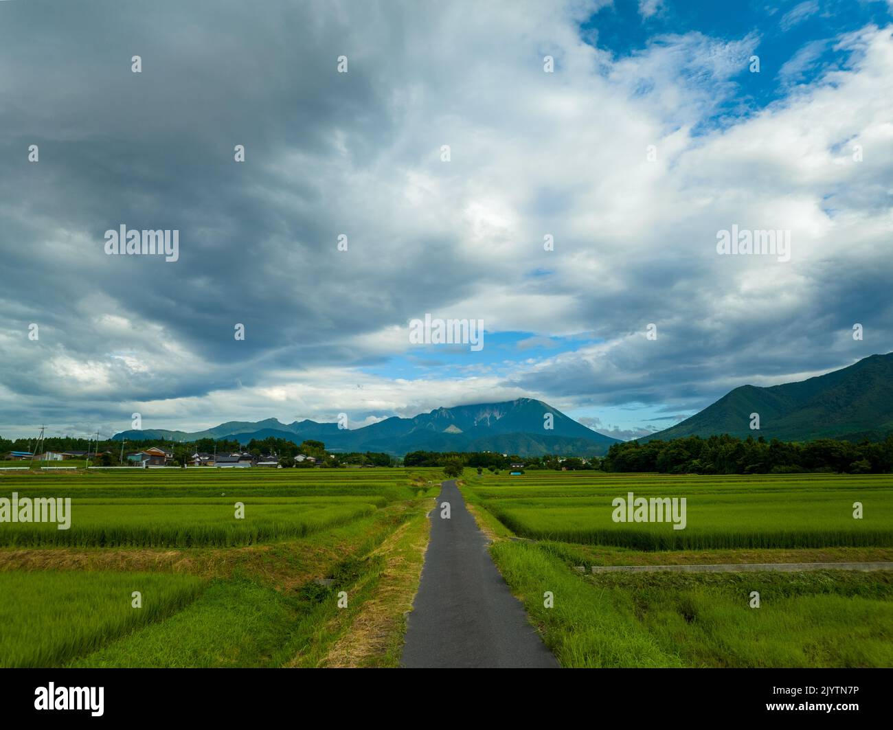 Straight road through rice field leads to foot of Mt. Daisen on partly cloudy day Stock Photo ...