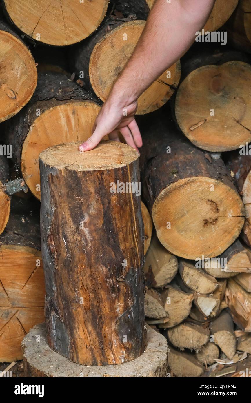 A man is chopping logs with an axe on chopping block. Harvesting of ...