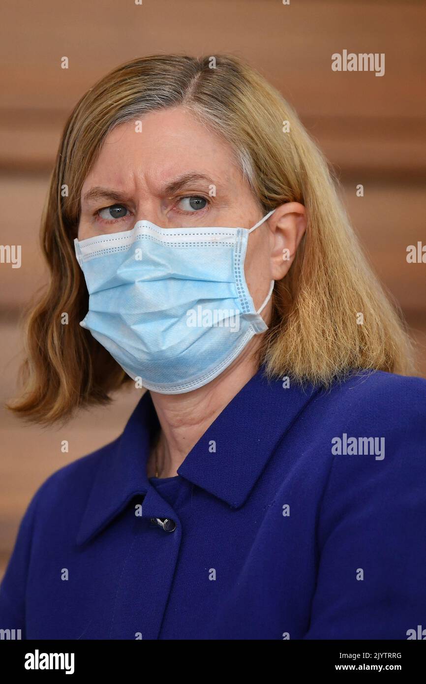 NSW Chief Health Officer Kerry Chant looks on during a press conference ...