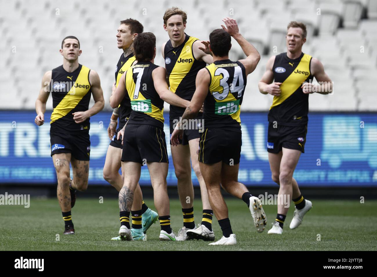 Tom J. Lynch of the Tigers (centre) celebrates a goal during the AFL ...