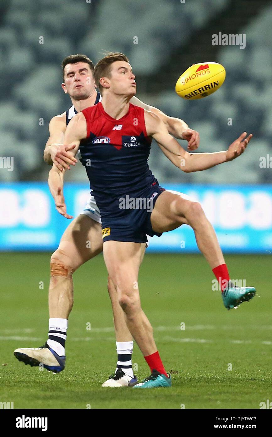 Bayley Fritsch of the demons attempts a mark during the AFL Round 23 ...