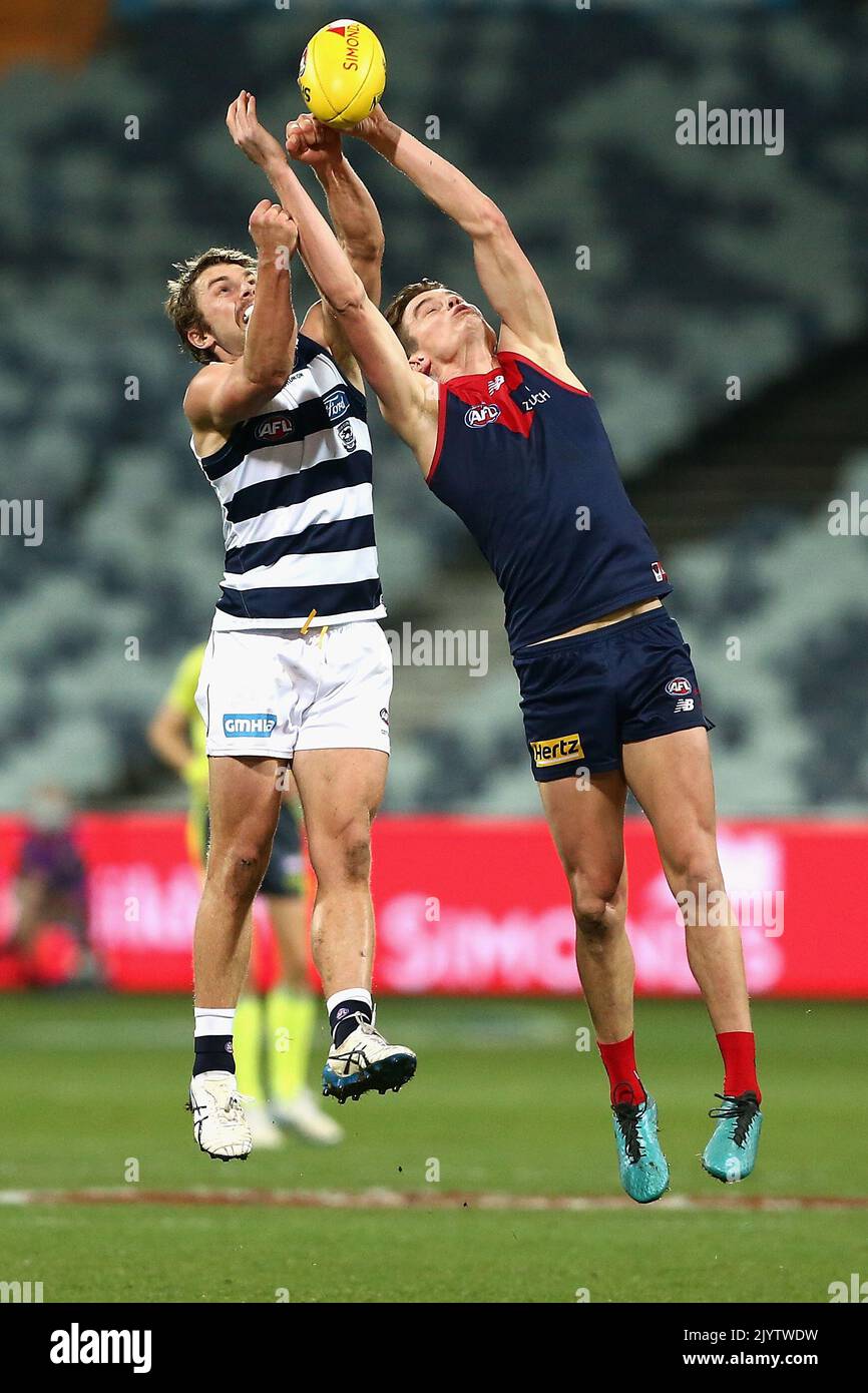 Bayley Fritsch of the demons contests the ball during the AFL Round 23 ...
