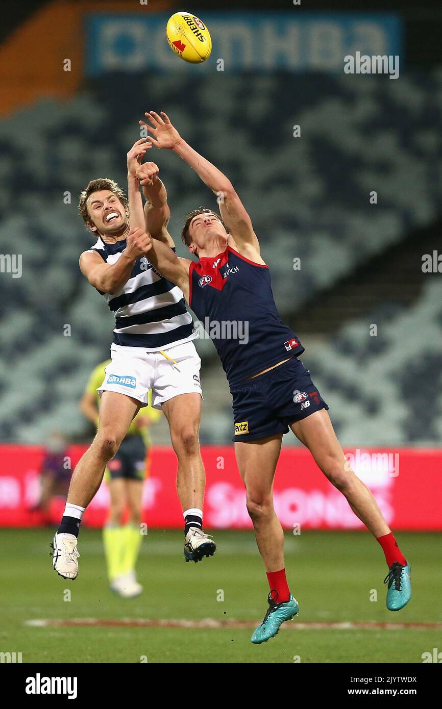 Bayley Fritsch of the demons contests the ball during the AFL Round 23 ...