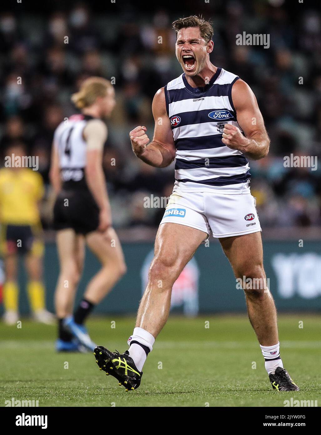 Tom Hawkins of the Cats celebrates a goal during the AFL Qualifying ...