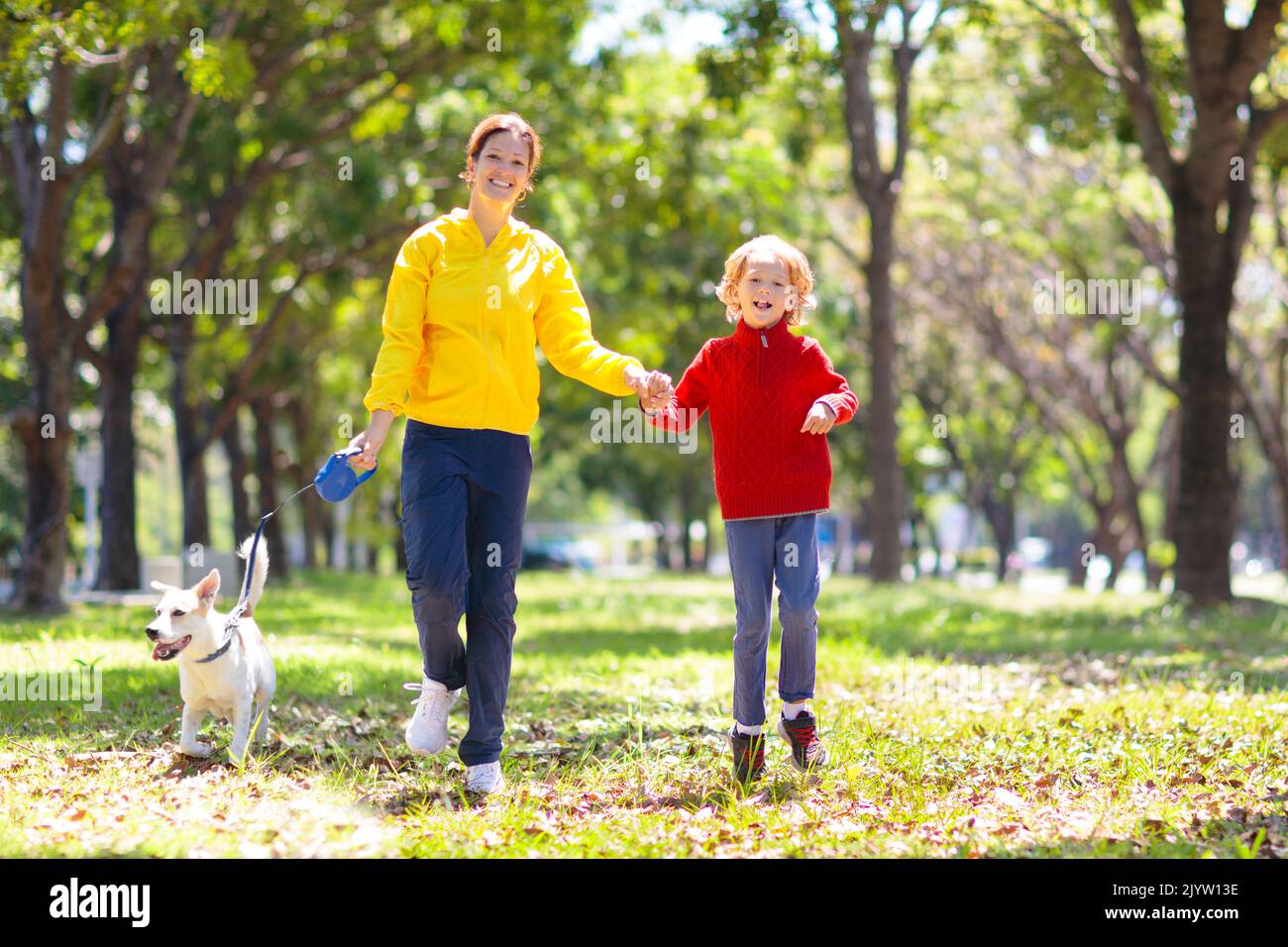 Family walking in autumn park. Kids play in sunny forest. Outdoor fun ...