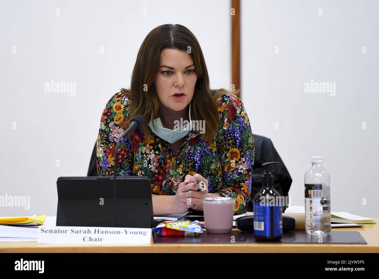 Australian Greens Senator Sarah Hanson-Young speaks during a Senate ...
