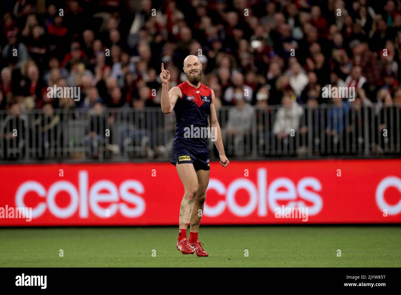 Max Gawn of the Demons celebrates after kicking a goal during the AFL ...