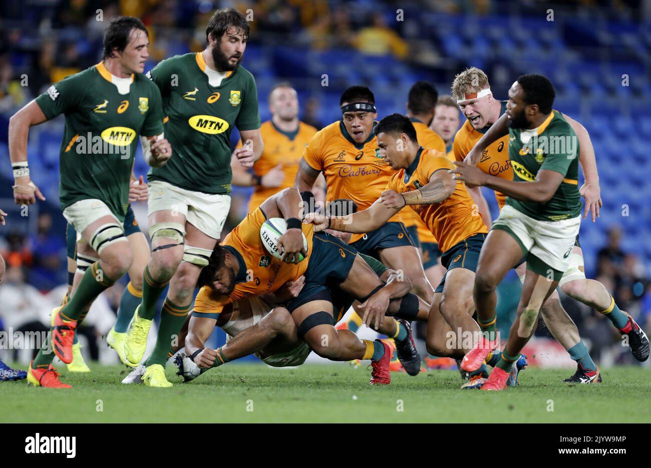 Rob Valetini of Australia Wallabies against the South Africa Springboks ...