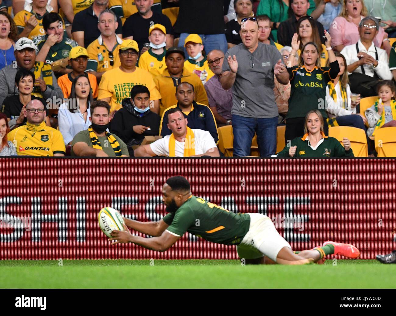The crowd reacts as Lukhanyo Am of the Springboks scores a try during ...