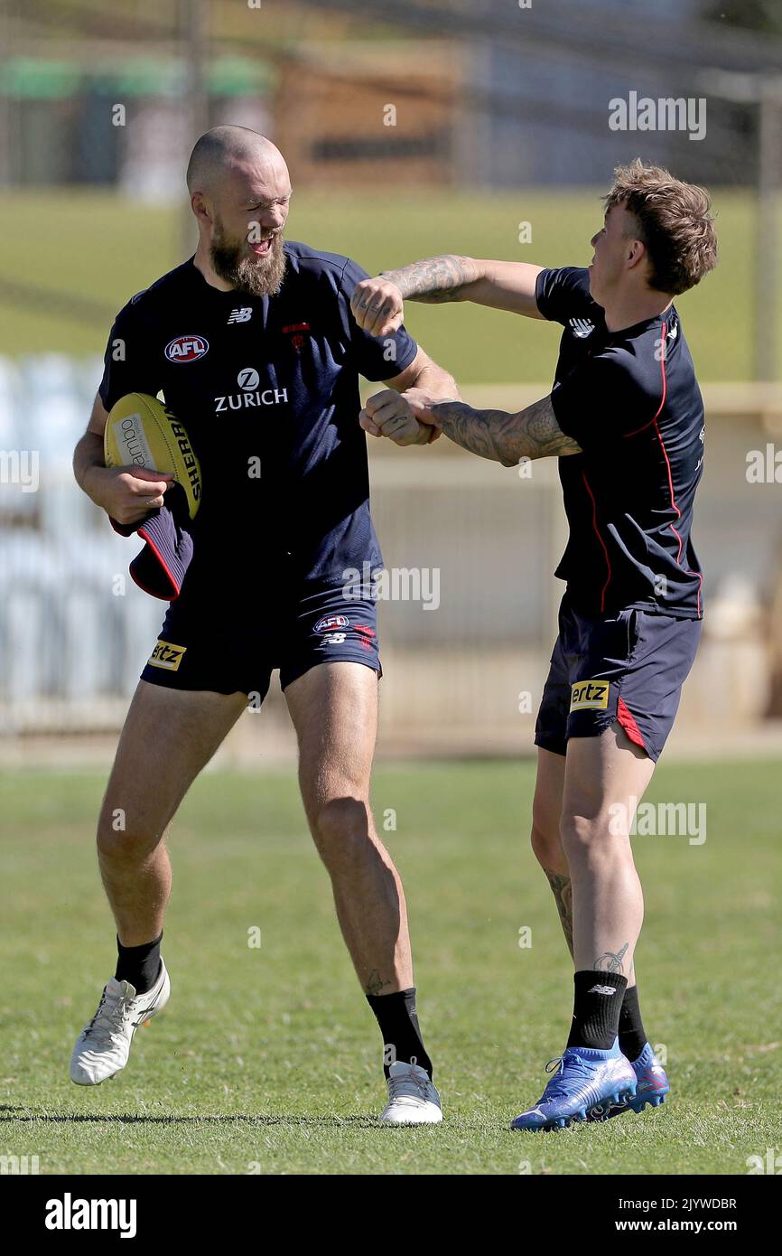 Max Gawn and James Harmes of the Demons are seen play fighting during ...