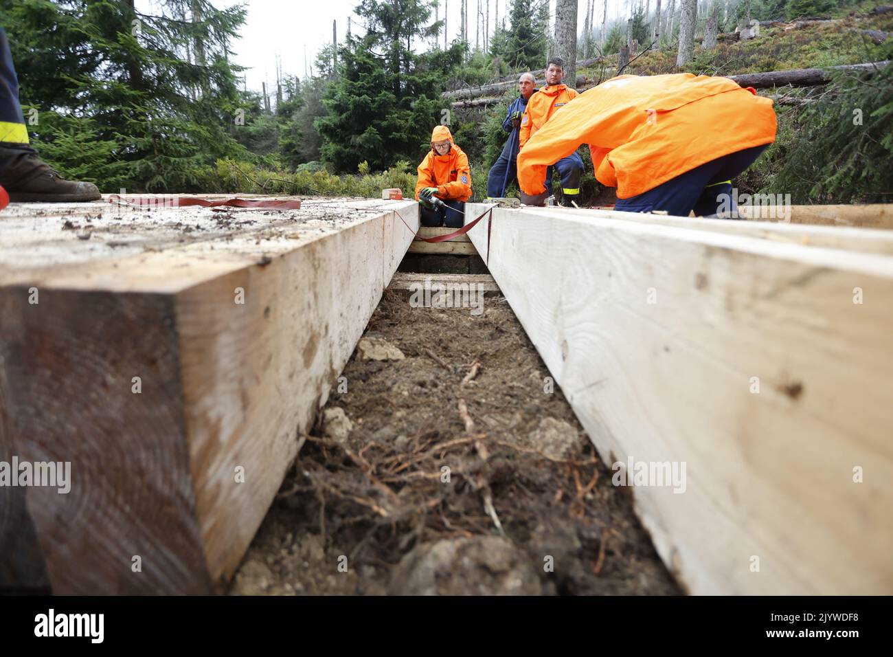 Schierke, Germany. 08th Sep, 2022. THW emergency forces stand in the ...