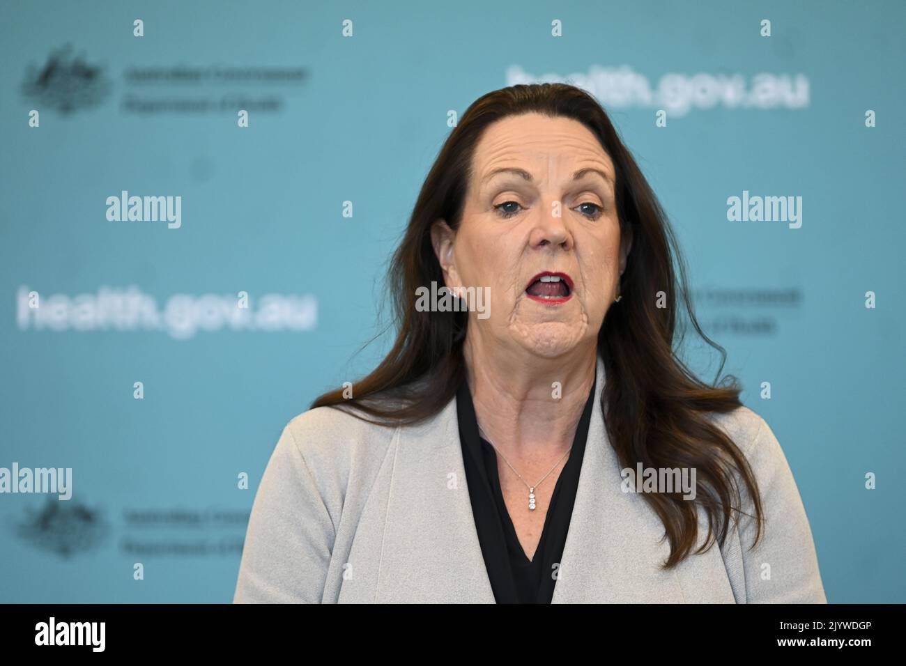 Australian Government Chief Nursing And Midwifery Officer Alison
