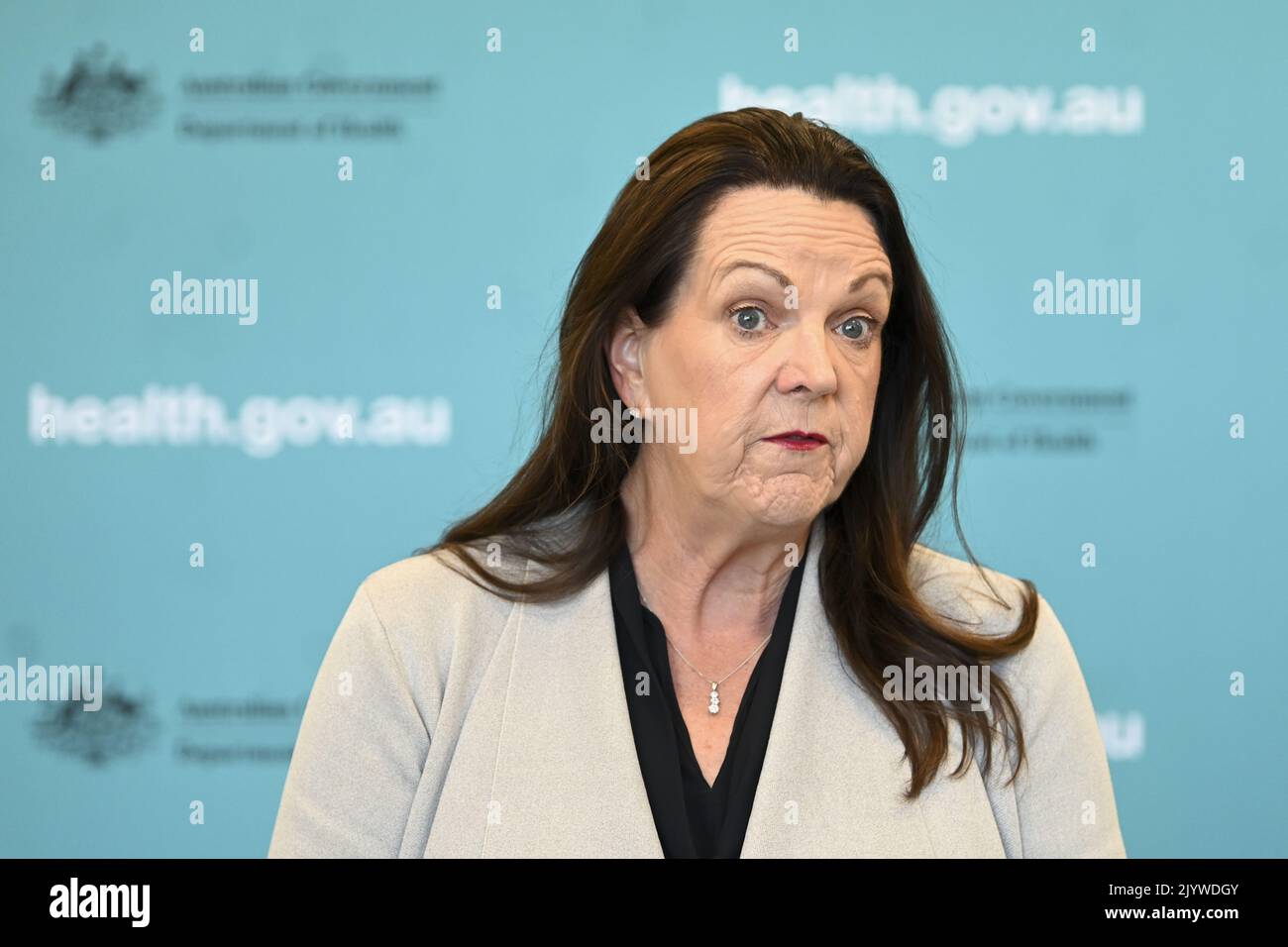 Australian Government Chief Nursing And Midwifery Officer Alison