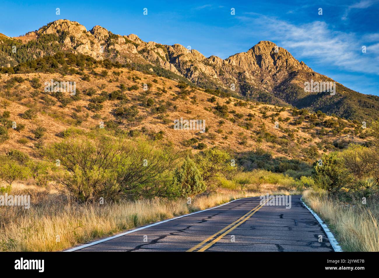 Santa Rita Mountains, Mount Wrightson on right, Madera Canyon Road ...