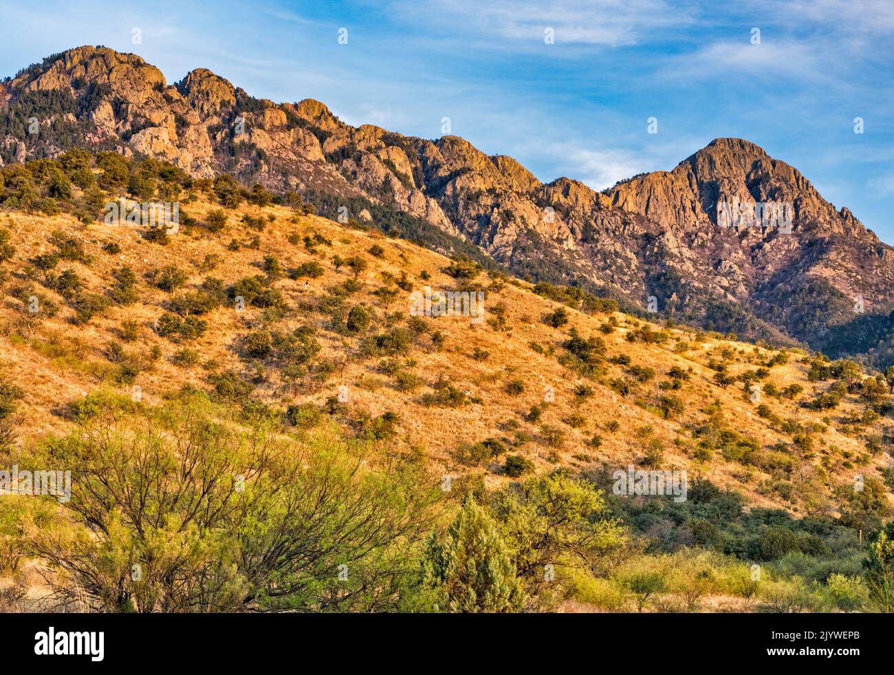 Santa Rita Mountains, Mount Wrightson on right, from Madera Canyon ...