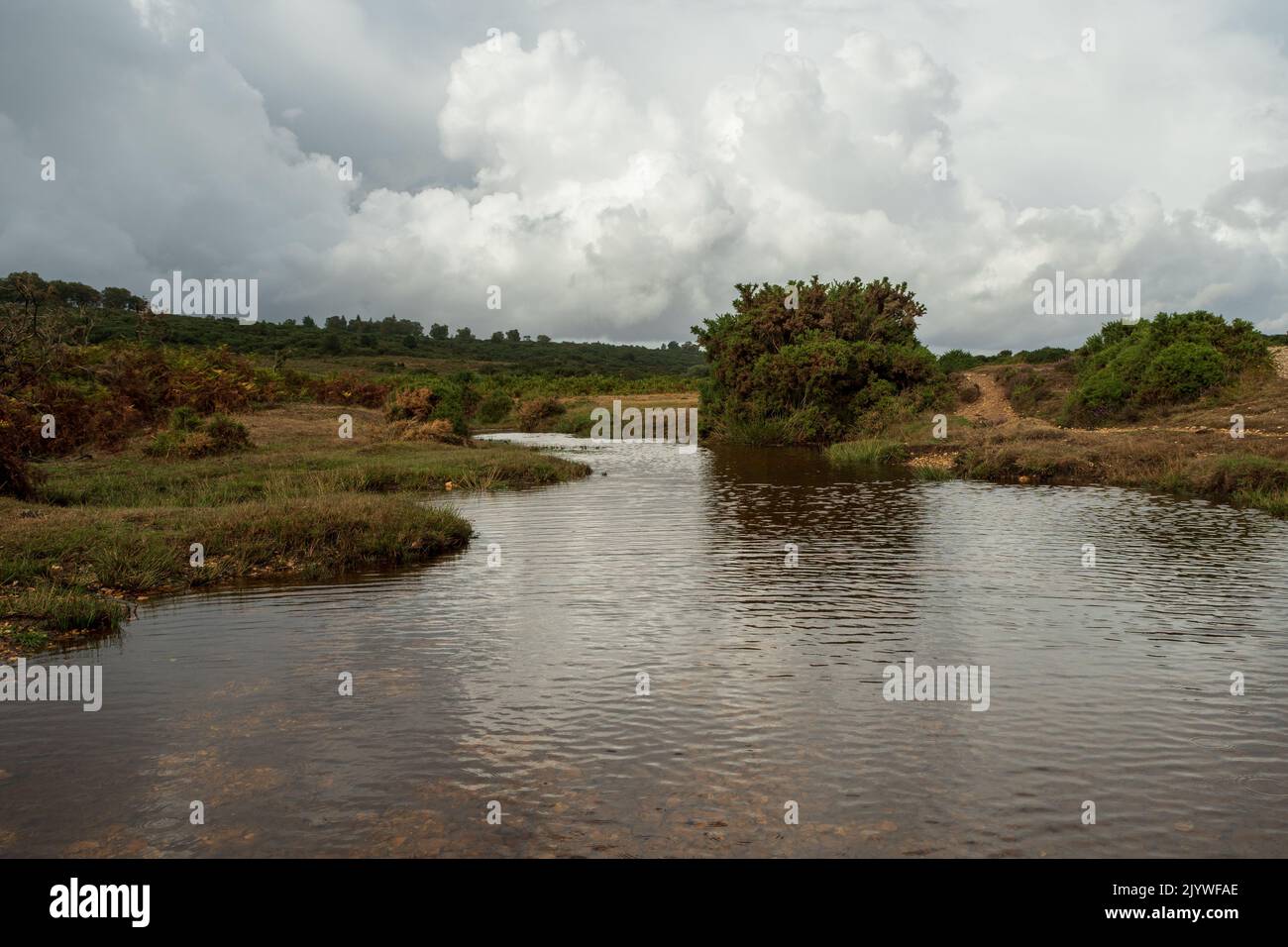 Godshill, Fordingbridge, Hampshire, UK, 8th September 2022, Afternoon ...
