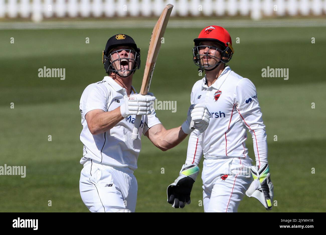 Hilton Cartwright of Western Australia celebrates his century as Alex ...