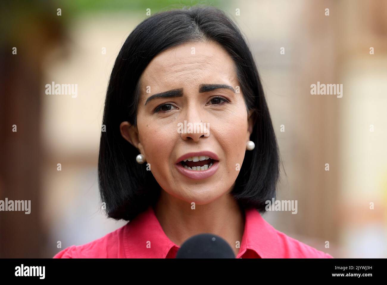 NSW Shadow Education Minister Prue Car speaks during a press conference ...