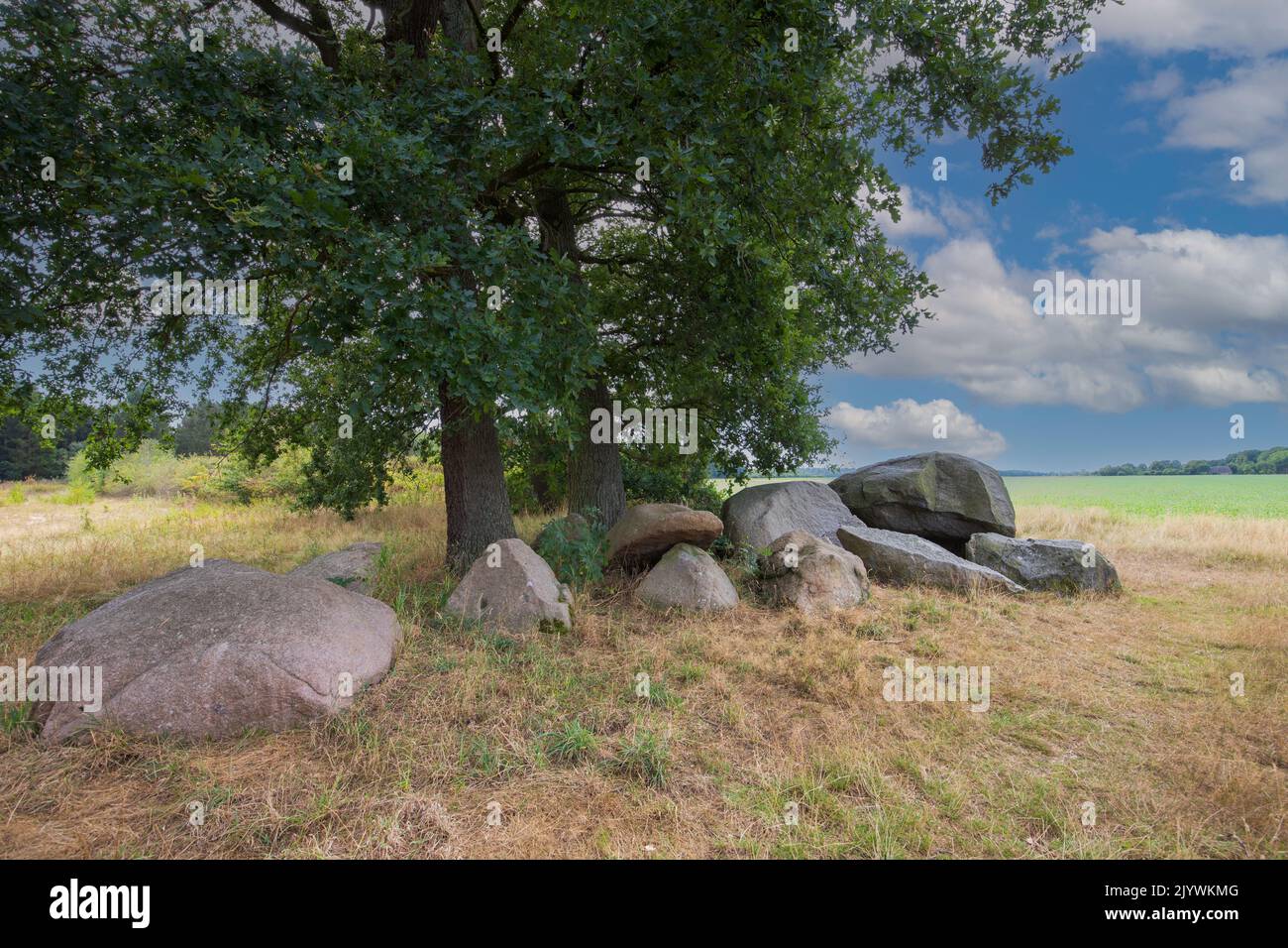 Dolmen D36, Ooster Esch municipality of Valthe in the Dutch province of ...