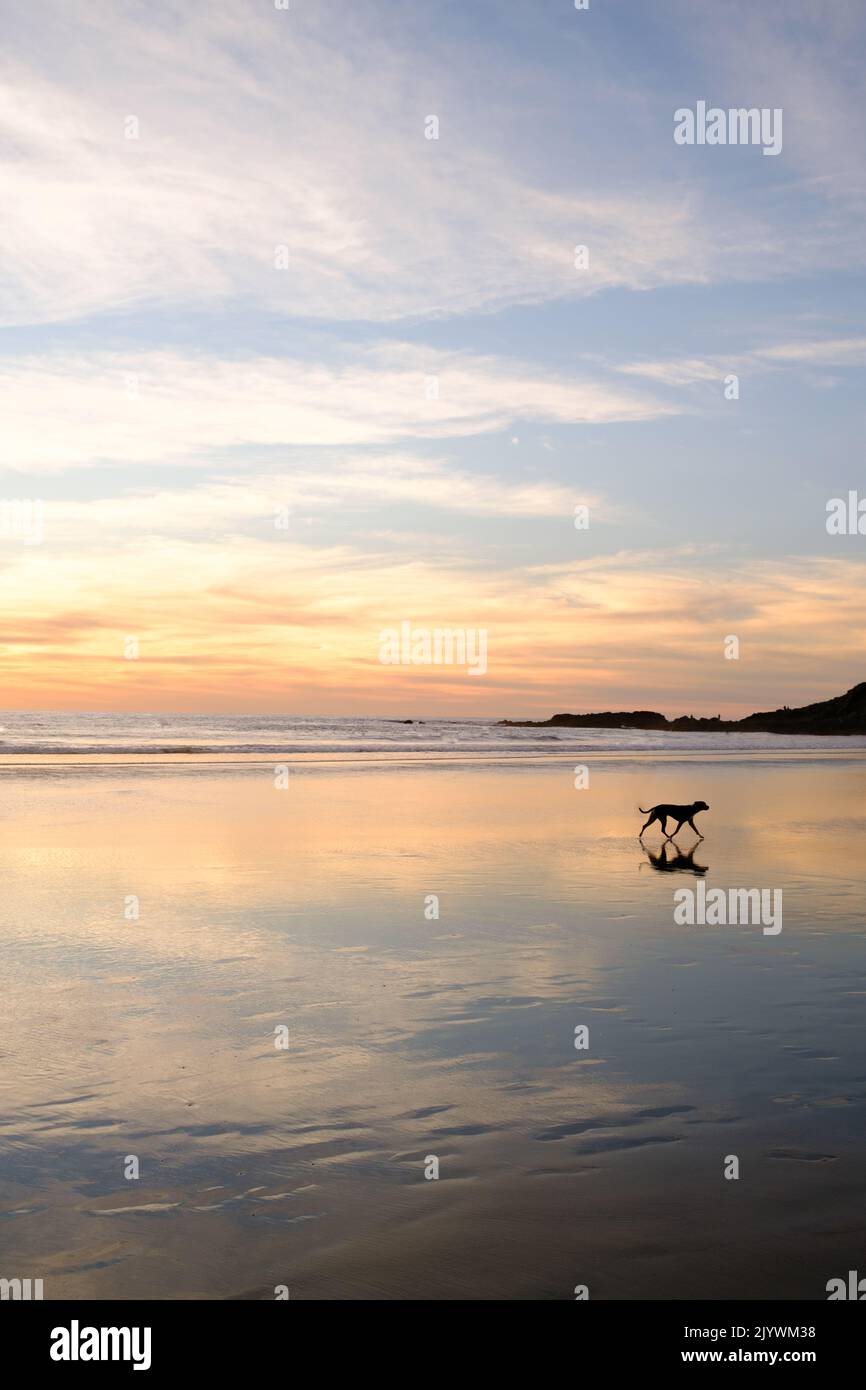 Cabo san lucas beach aerial hi-res stock photography and images - Alamy