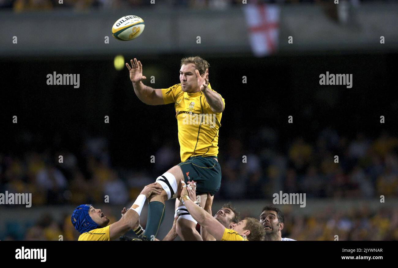 Australia's Rocky Elsom wins the ball in a lineout Stock Photo - Alamy