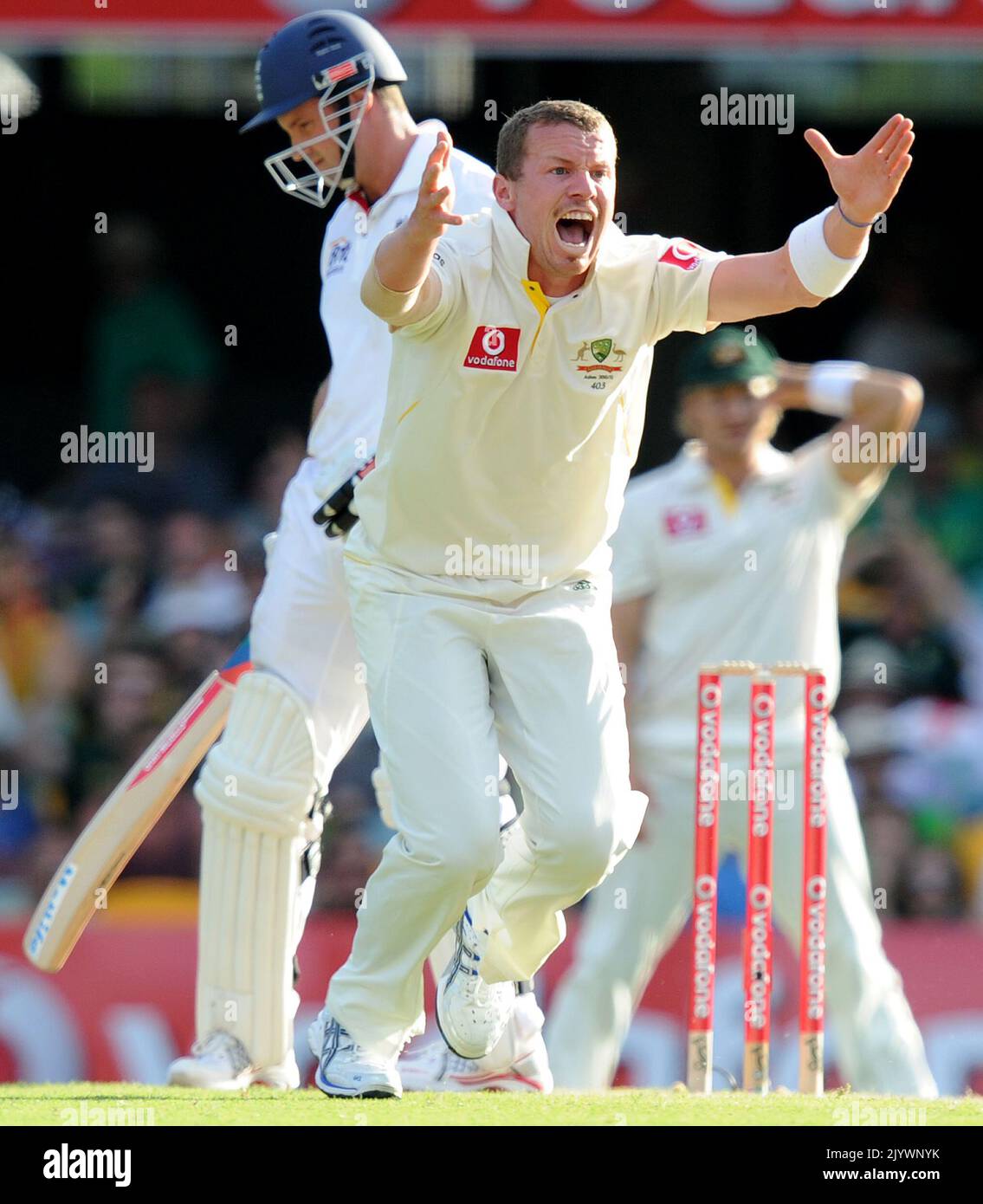 Australian bowler Peter Siddle makes an appeal on England captain ...