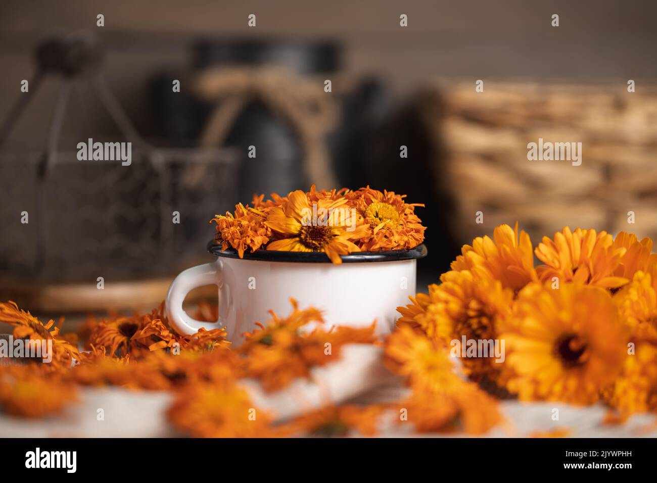 Dried and fresh calendula flowers Stock Photo - Alamy