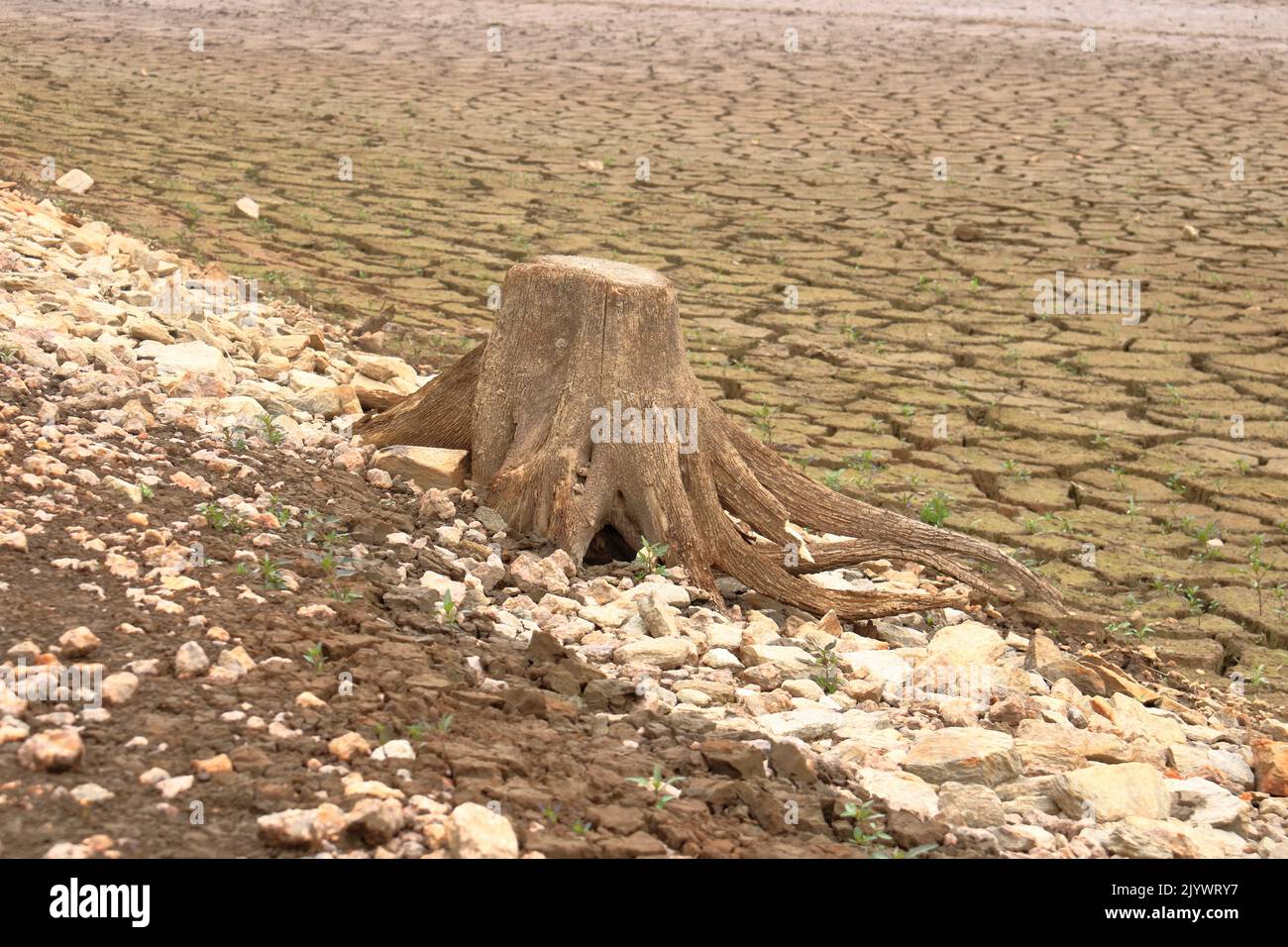 dried up empty reservoir and dam during a summer heatwave, low rainfall ...