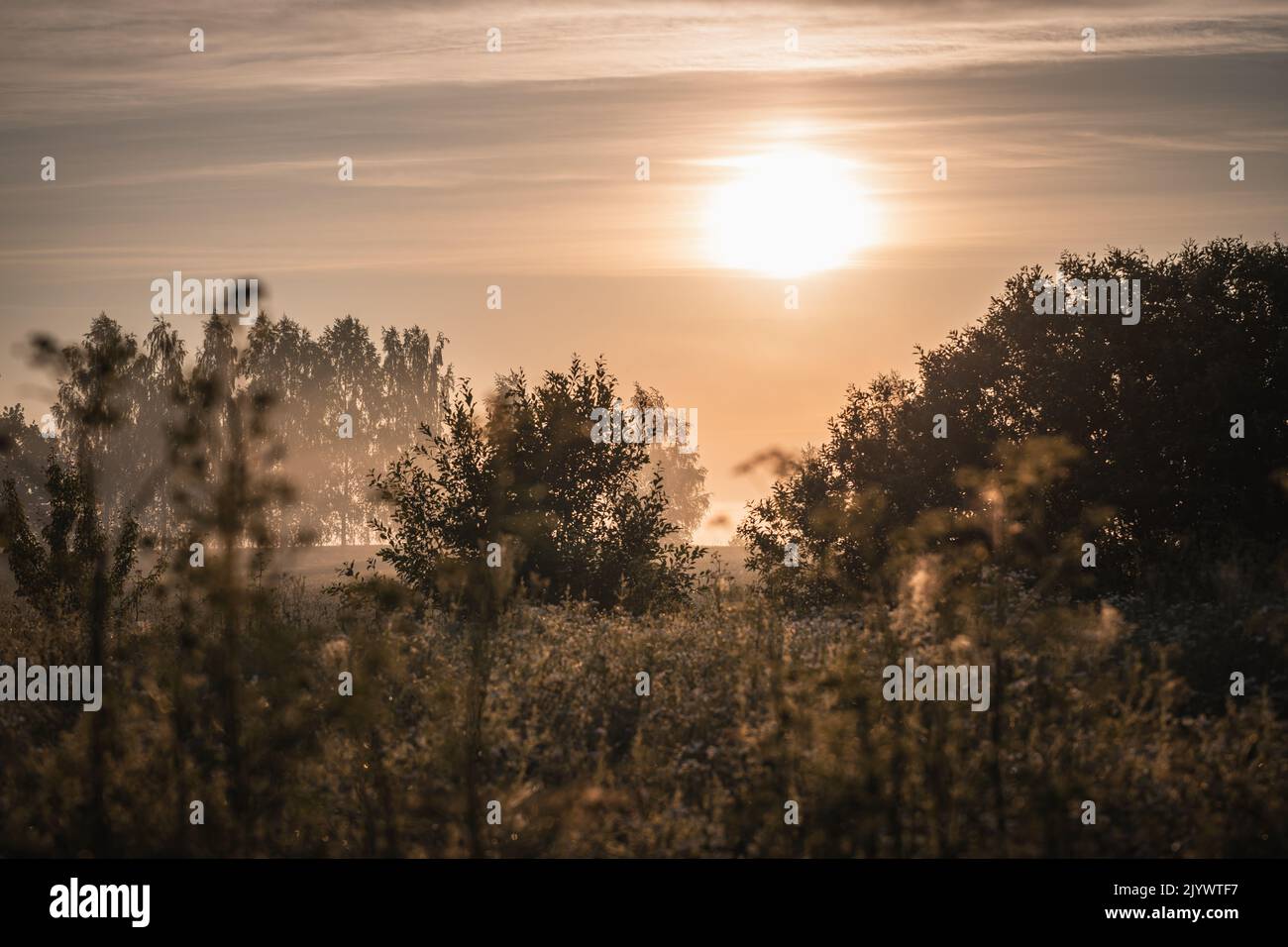 Sun shining over field hi-res stock photography and images - Alamy