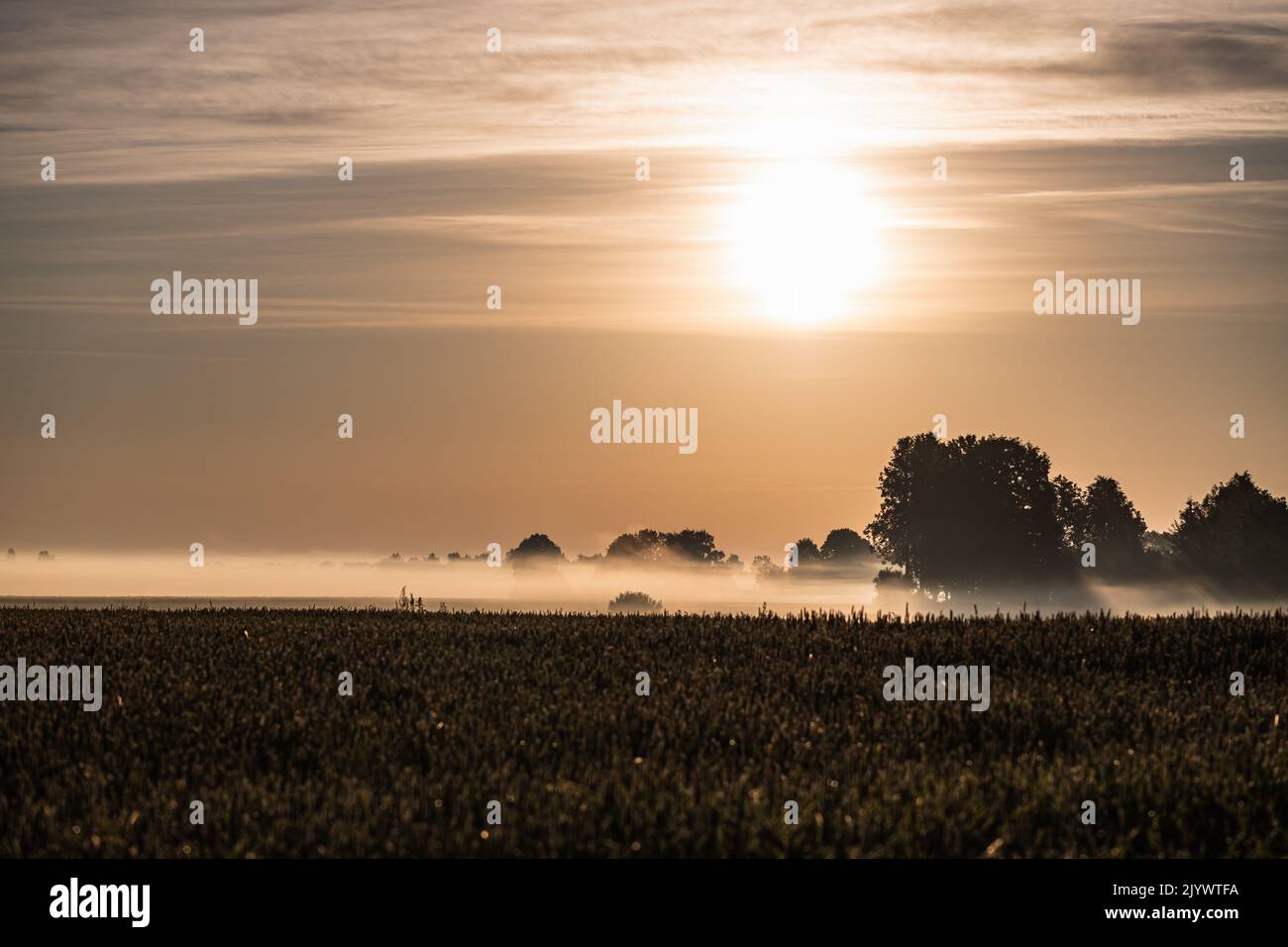 Morning fog during sunrise hi-res stock photography and images - Alamy
