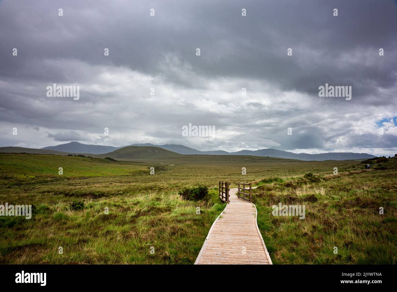 Path wild nephin hi-res stock photography and images - Alamy