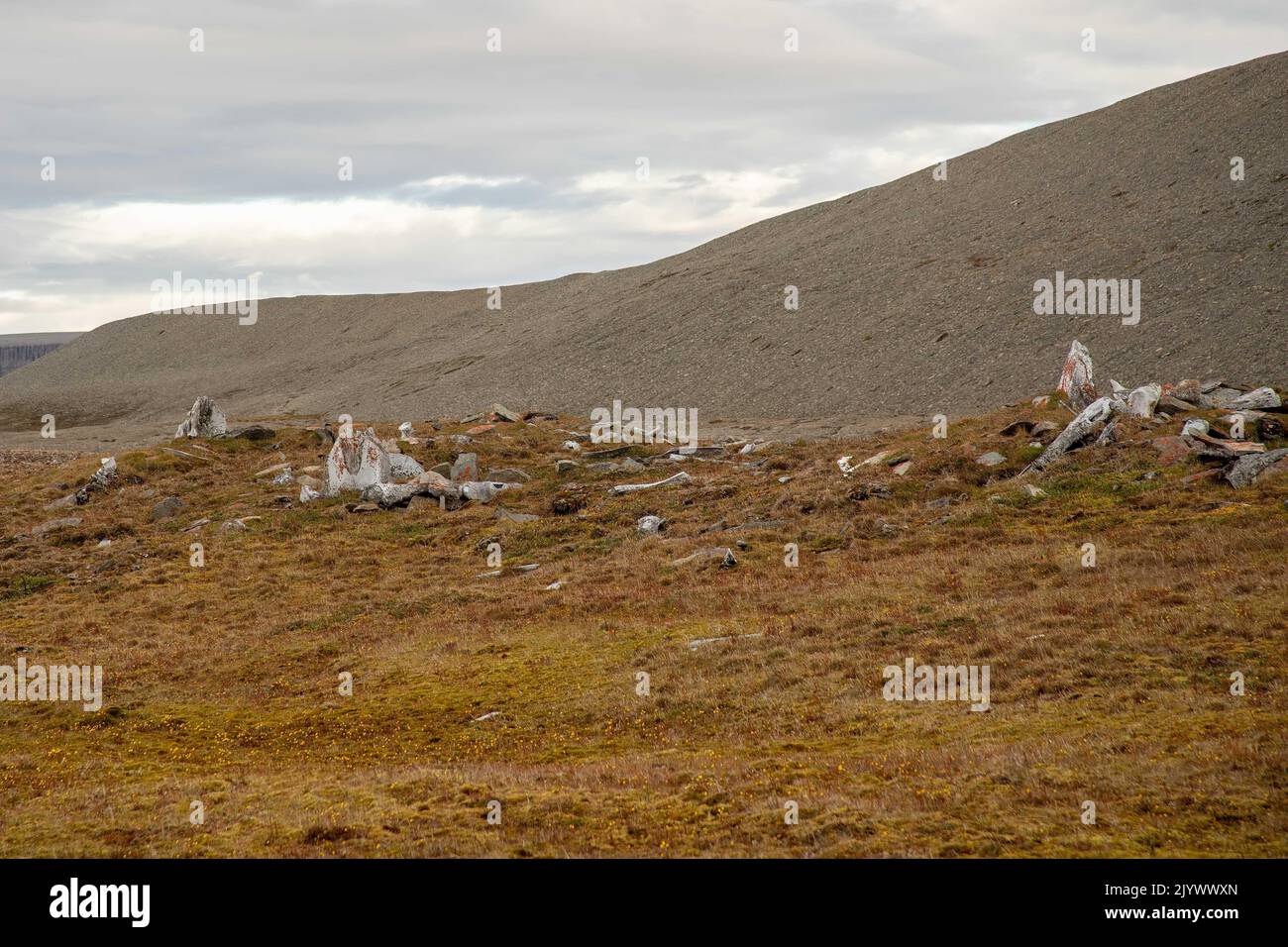 Thule island hi-res stock photography and images - Alamy
