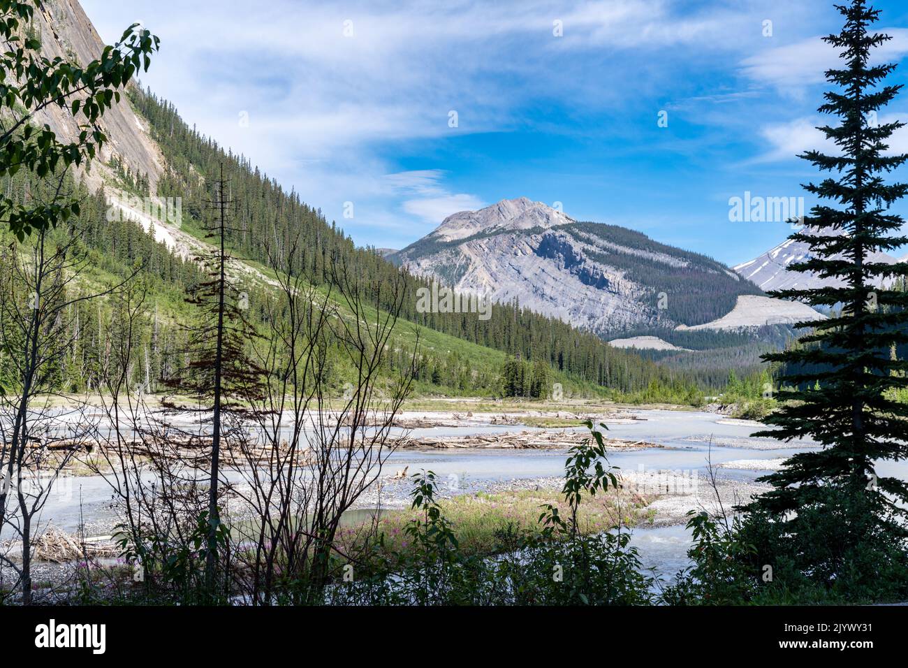 Beautiful scenery along the Icefields Parkway in Jasper National Park ...
