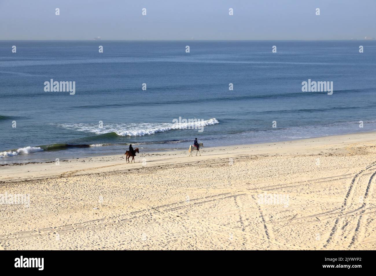 sandy beach and horses in the oman, arabic sea in salalah Stock Photo ...