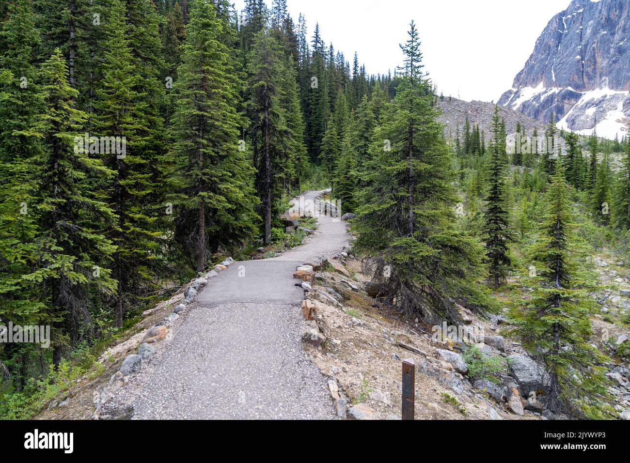 Edith cavell meadows trail hi-res stock photography and images - Alamy
